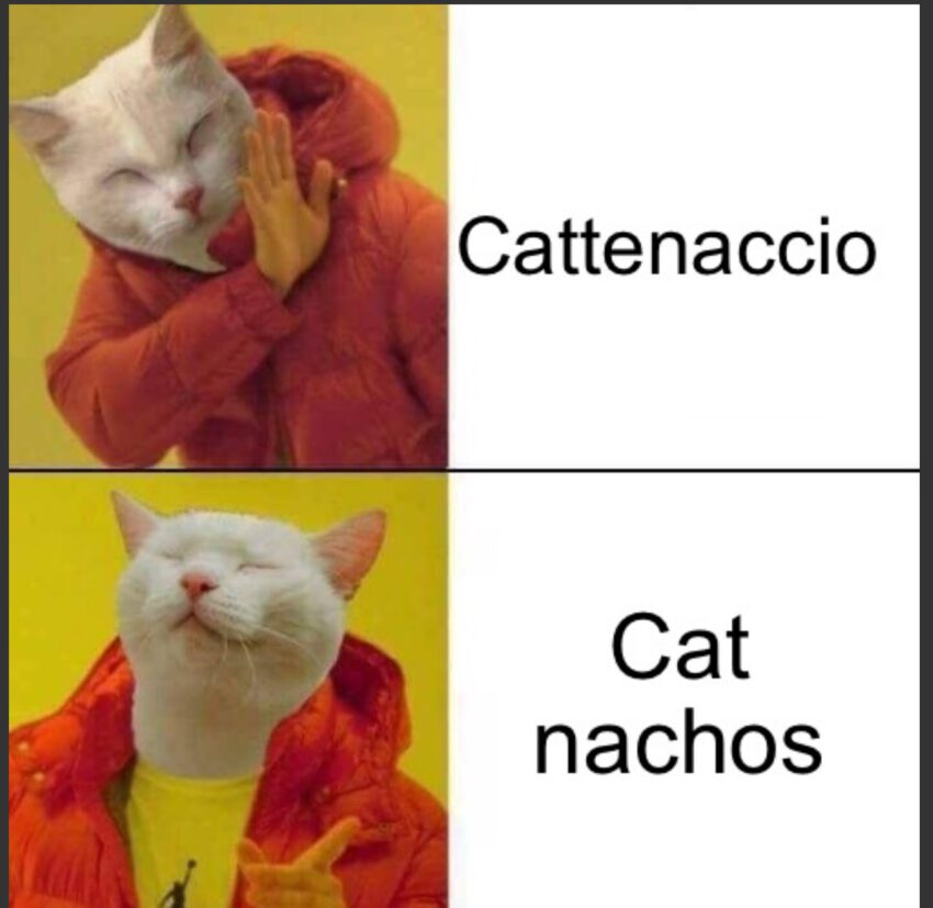 FCSN – The Cat Nacho Gameplan – Guild Ball Bench